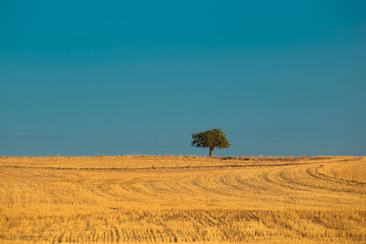 Le climat du Portugal ⋆ Portugal en français