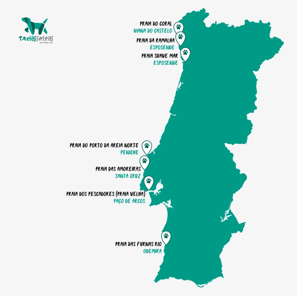 Plages portugaises permises aux chiens ⋆ Portugal en français